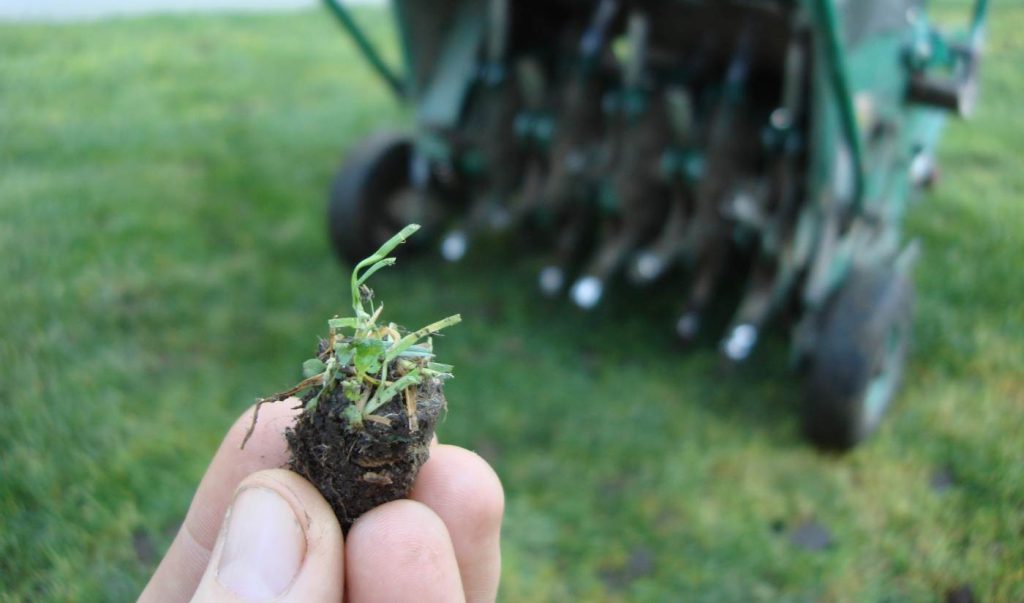 Core Aeration | Melbourne, FL | Pearce Lawn Care