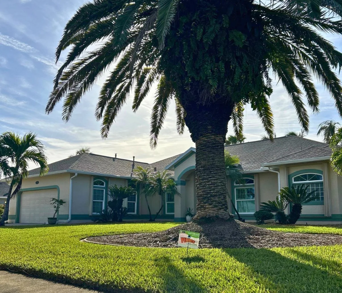 Fall Lawn Care Checklist for Florida Homeowners - Turf Masters Florida